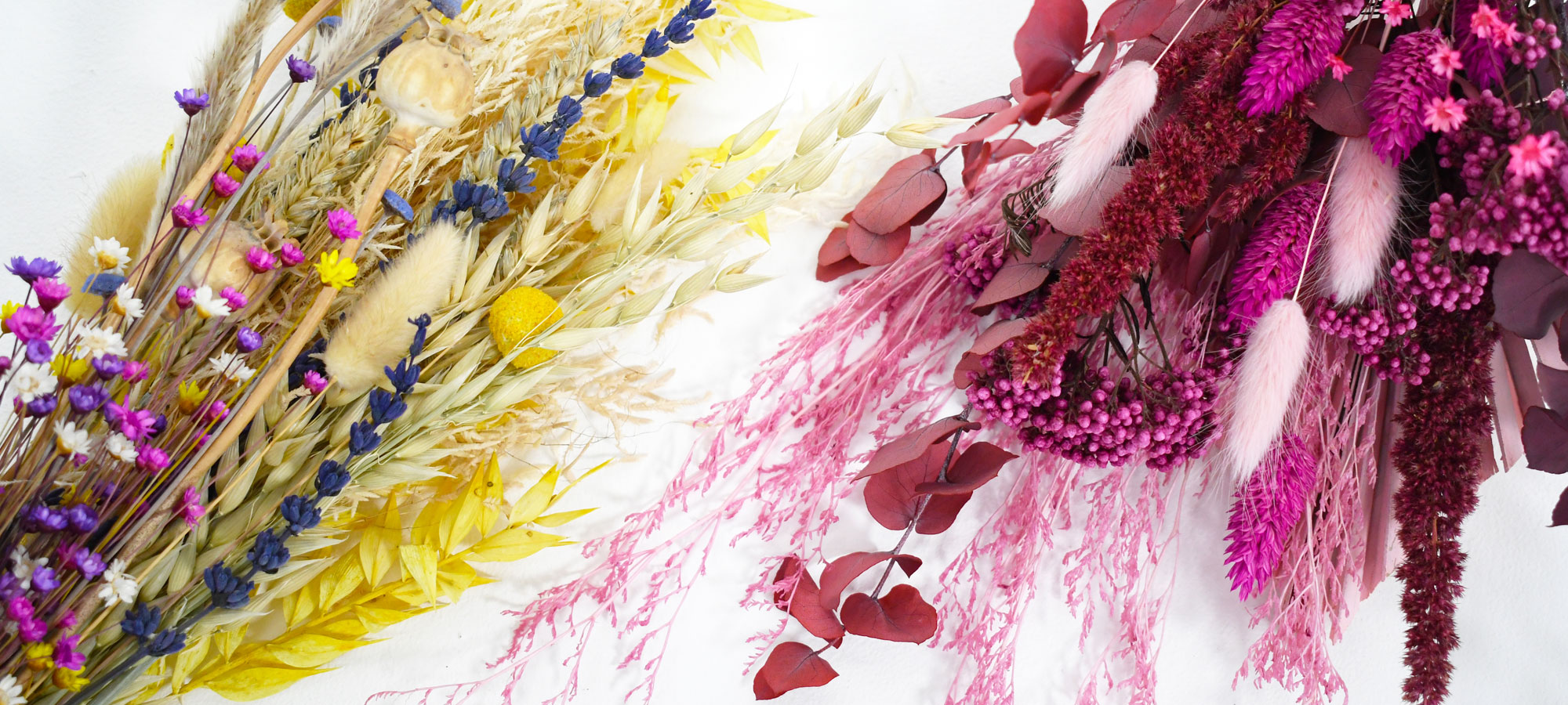 About Us | Surella Dried & Preserved Flowers