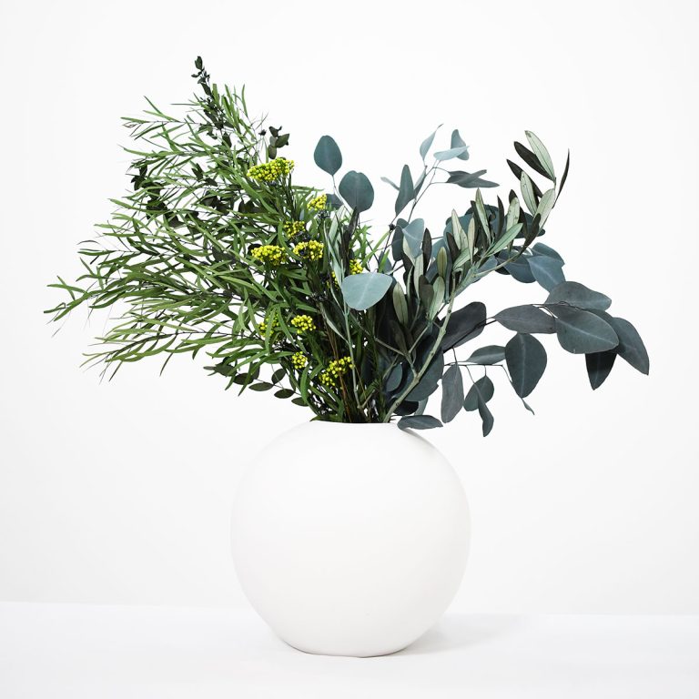 Surella | Dried and Preserved Flowers